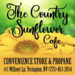 Yerington Inn – Yerington Inn, Yerington Nevada